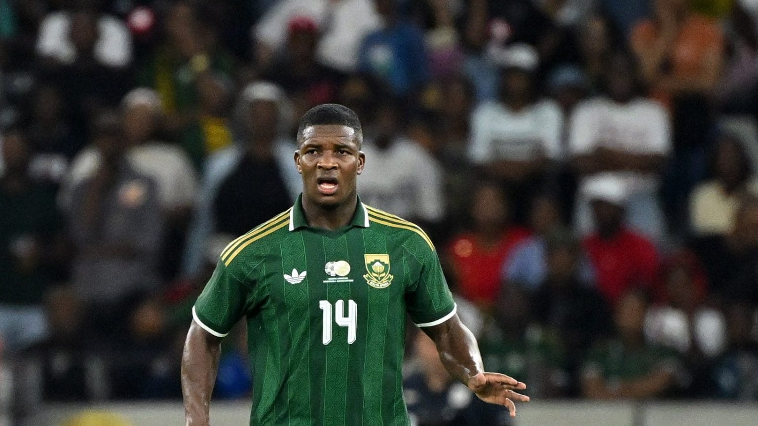 Ex-Downs Star Ribeiro Set To Join Africa Giants - iDiski Times